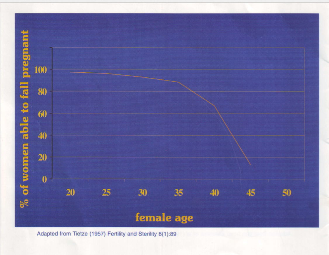 Pregnancy: At what age should you get started? – A/Prof. Michael Cooper